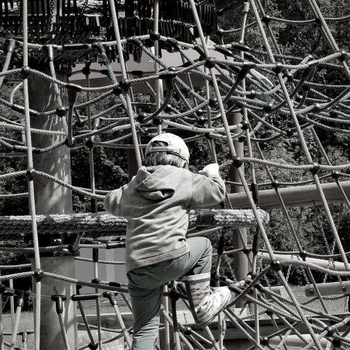 Why Your Career Path Should Look Like a Jungle Gym (Not a Ladder ...